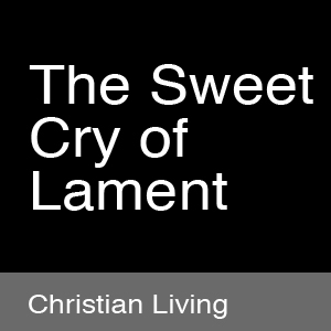 The sweet cry of lament - Adam McLane