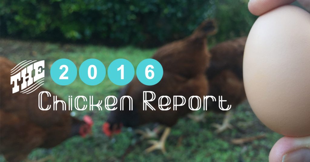 2016 Chicken Report - Adam McLane