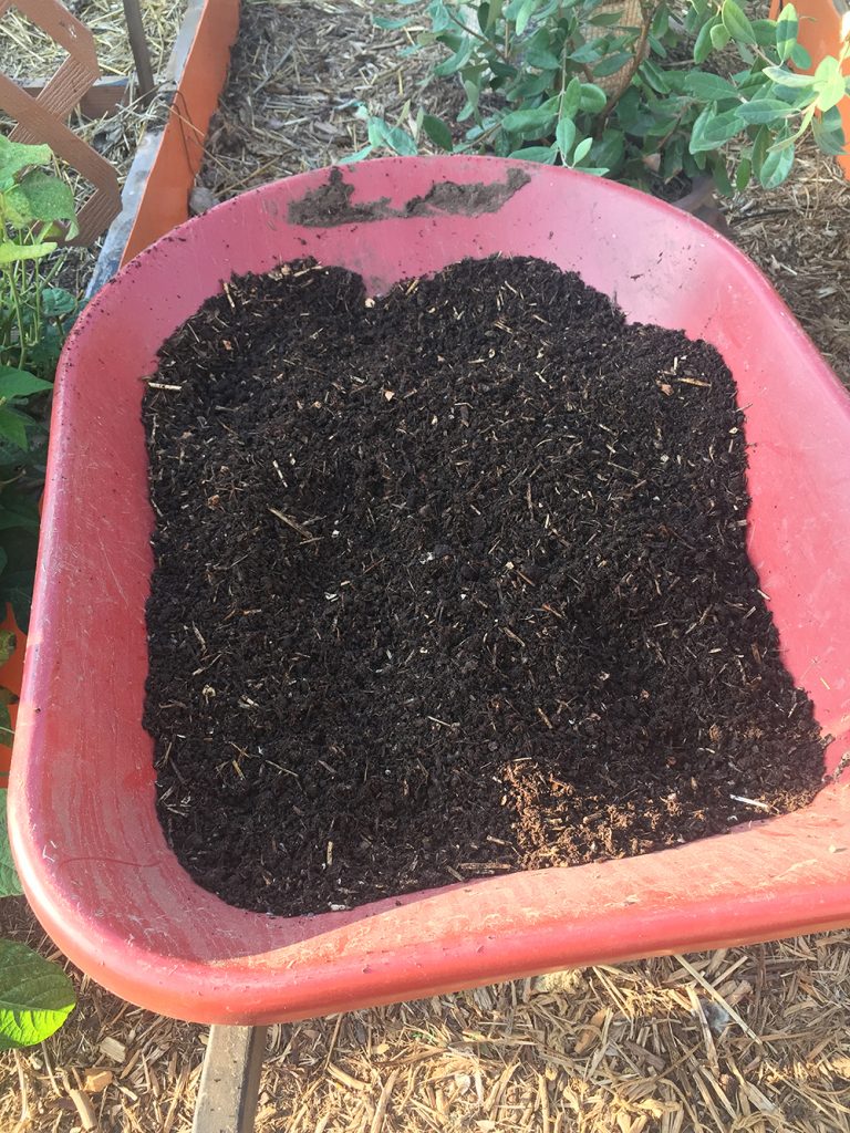 Native Soil - Adam McLane